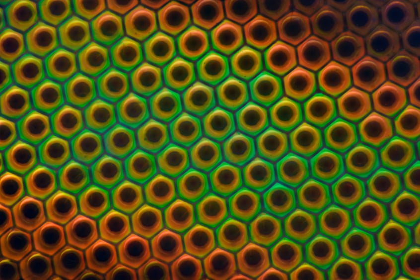 How Big is a Micron?